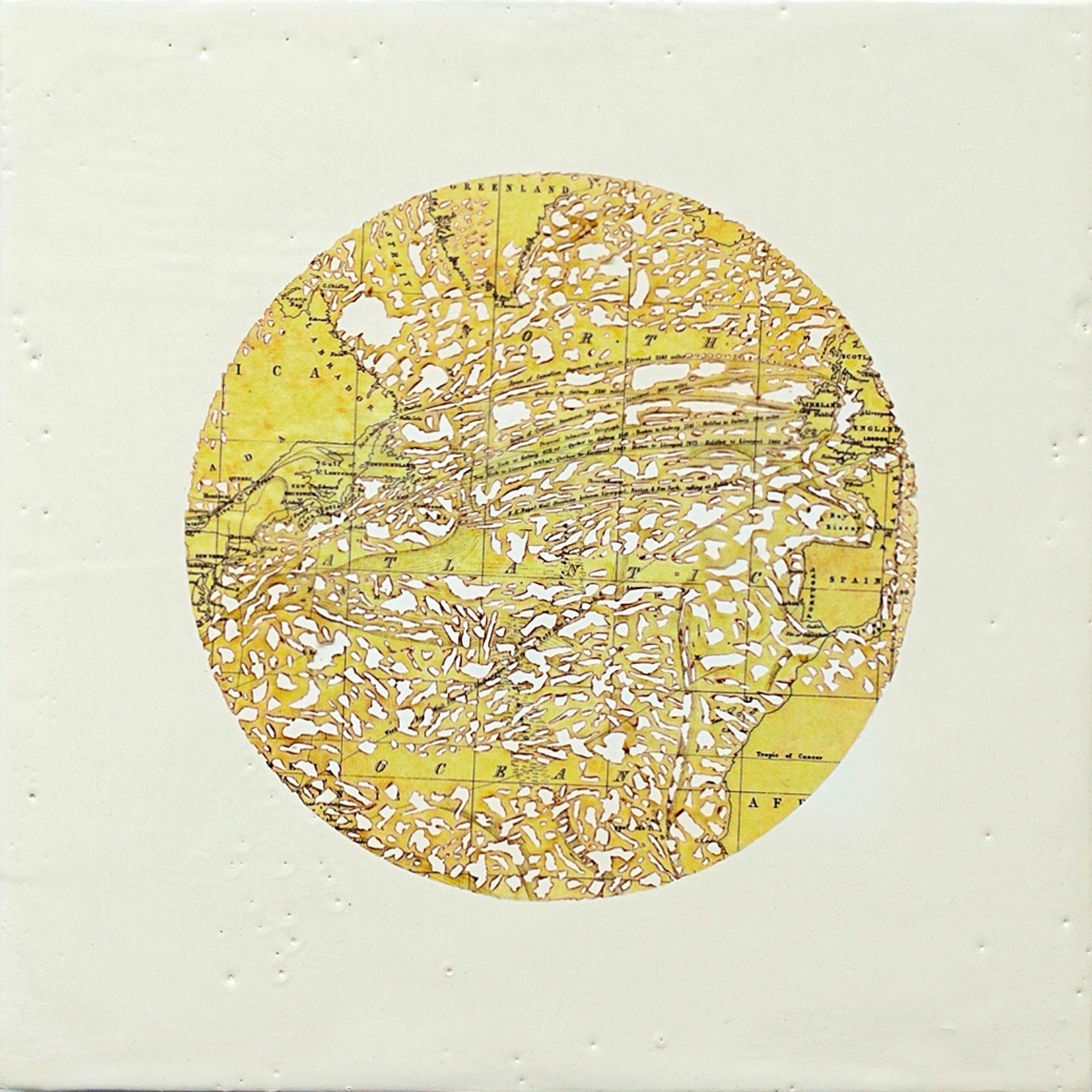 News - Anne Curran Artist